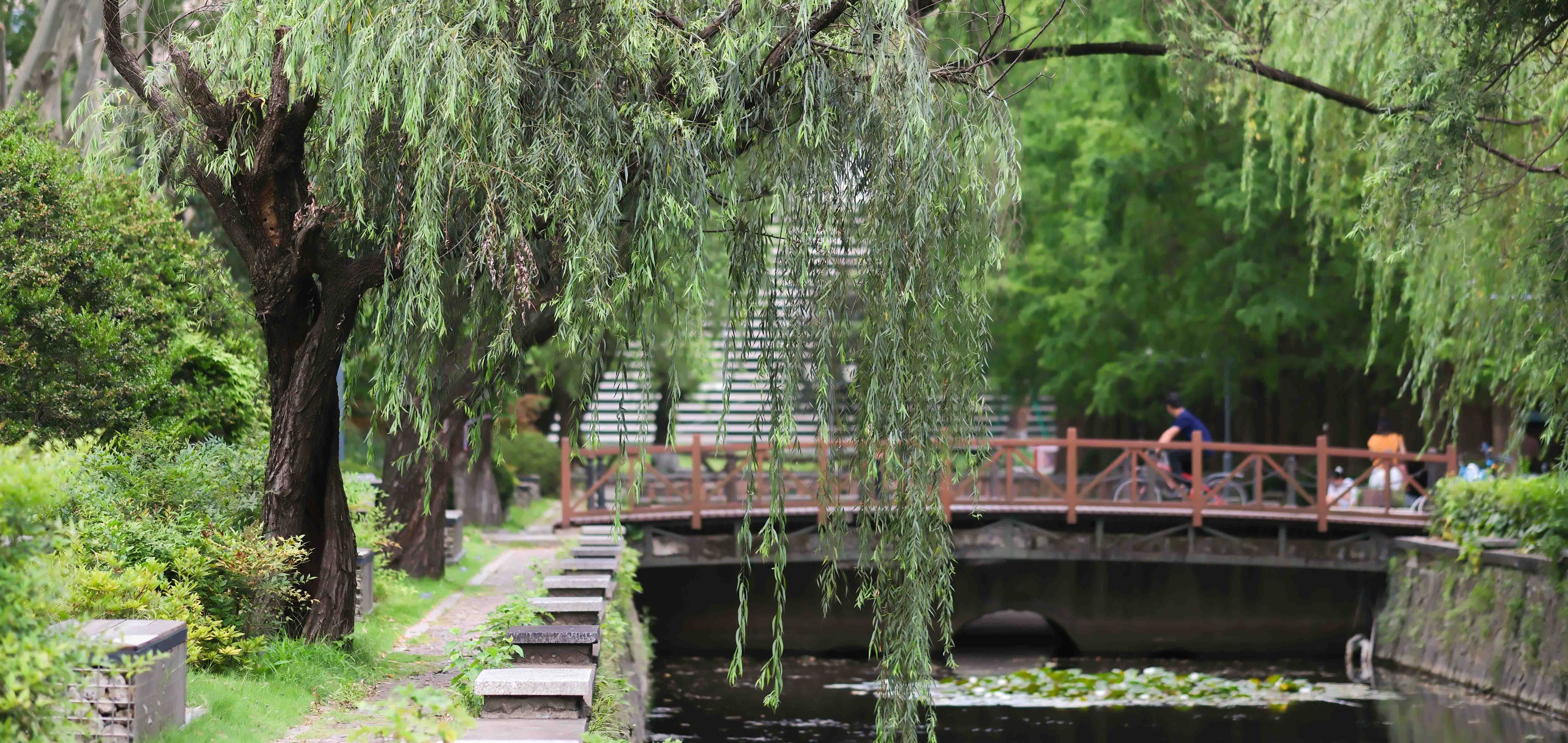 Tongji University